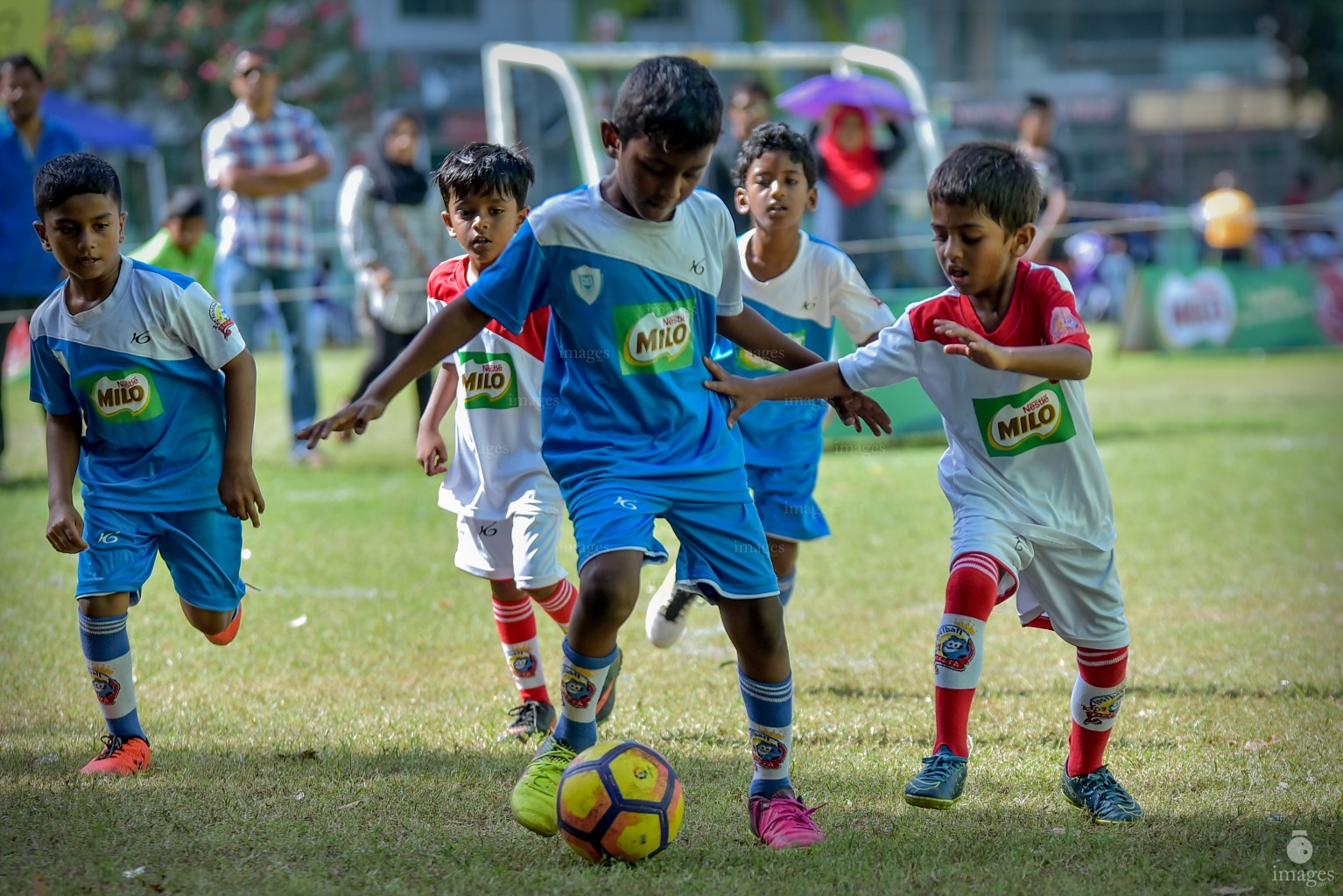 Milo Kids Football Fiesta 2017 Day 3
